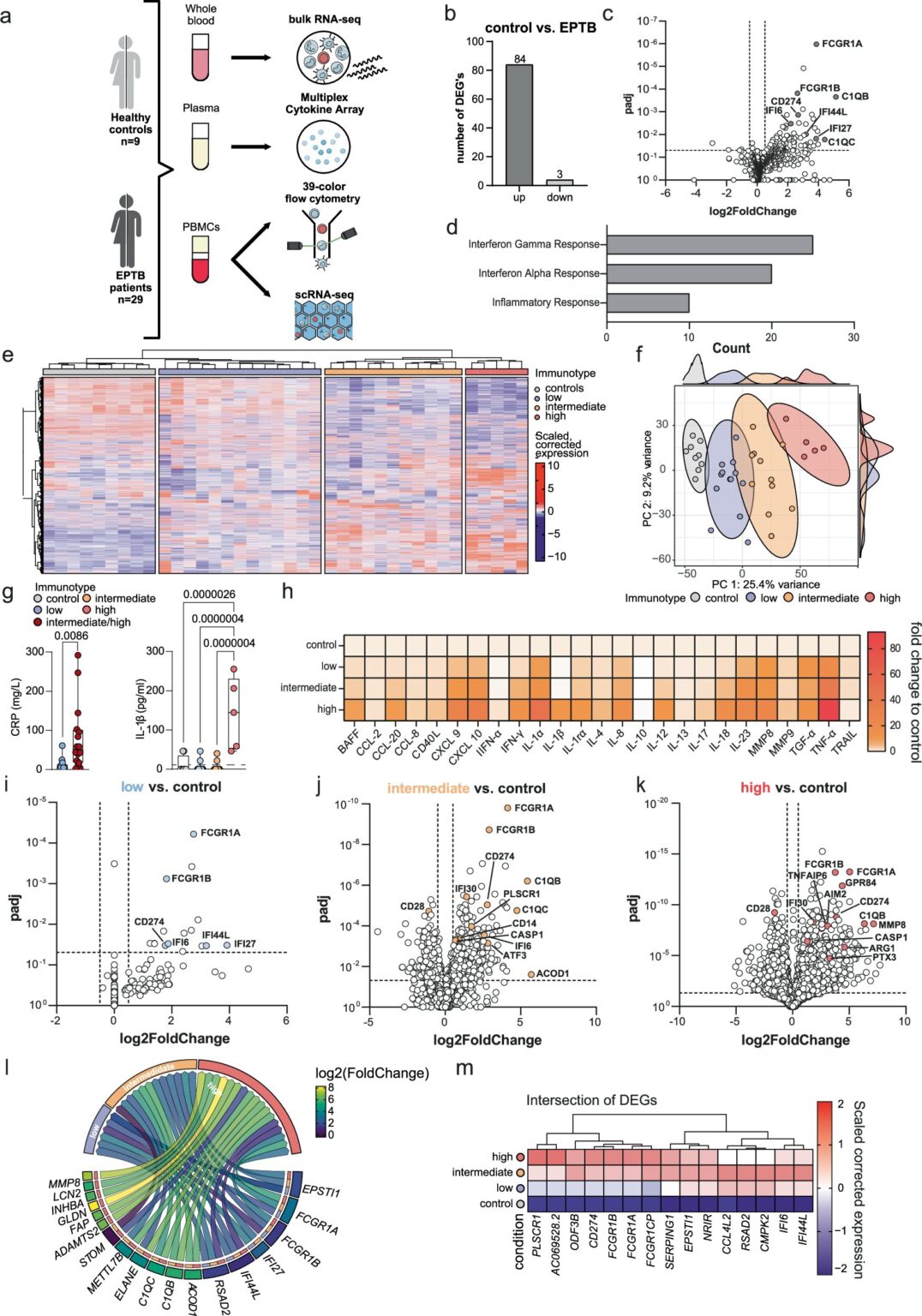 De nouveaux modèles de réponse immunitaire à la tuberculose découverts en dehors des poumons ...